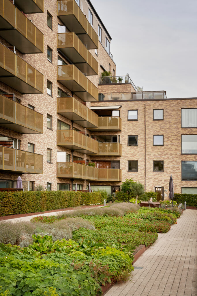 IrmaByen - ALFA Development