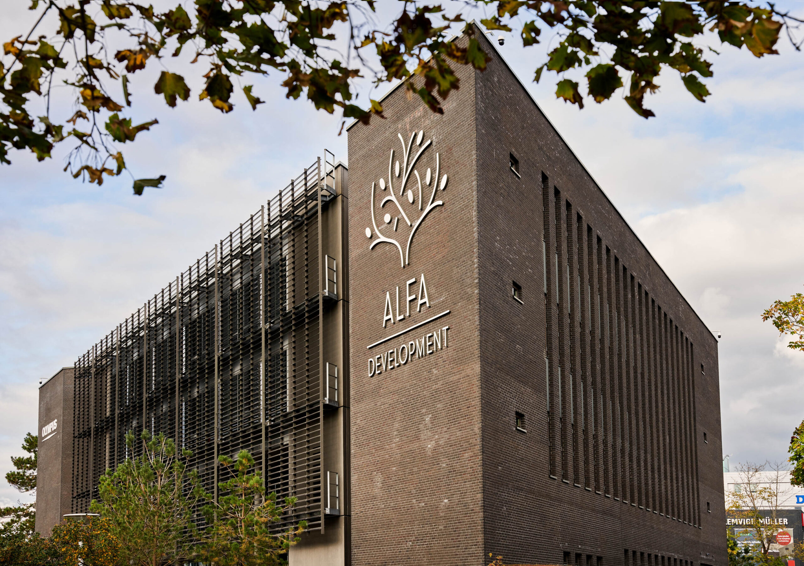 ALFA Work - ALFA Development