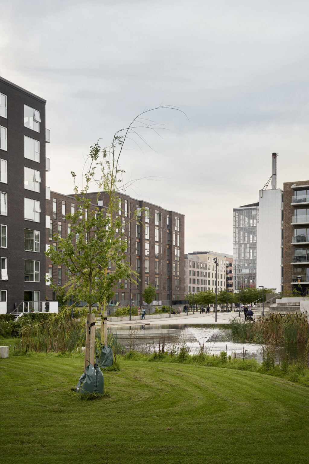 IrmaByen - ALFA Development