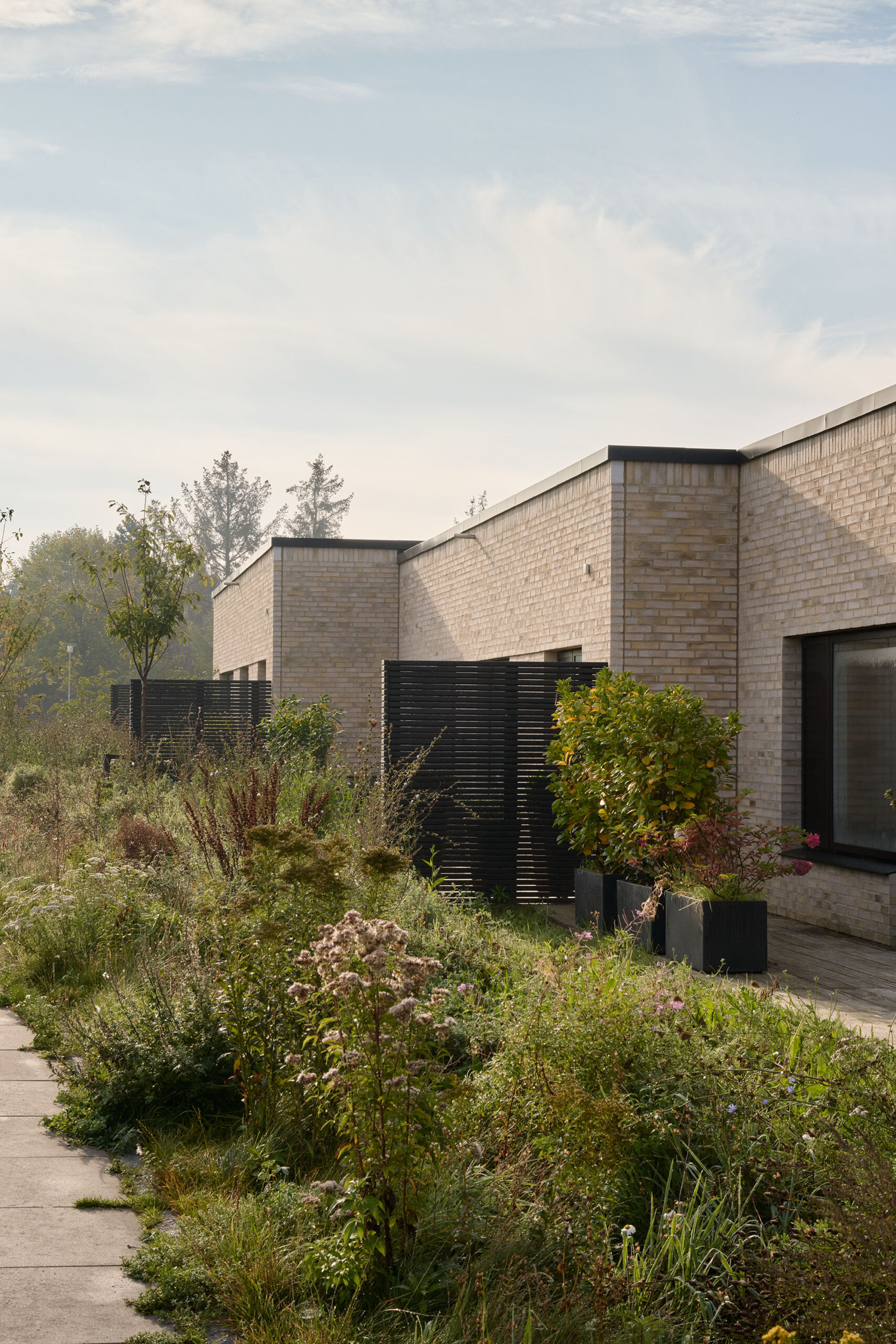 Projekter - ALFA Development