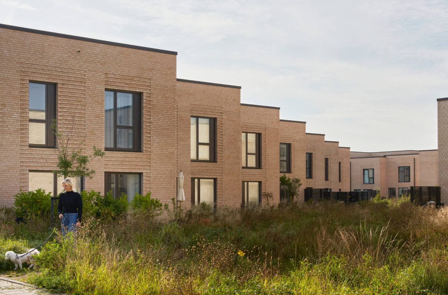 Biodiversity - ALFA Development
