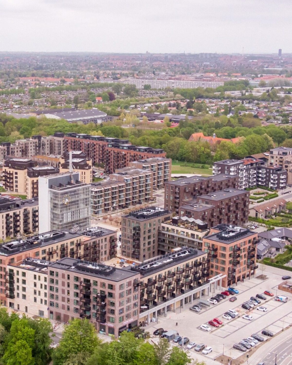 News & insights - ALFA Development